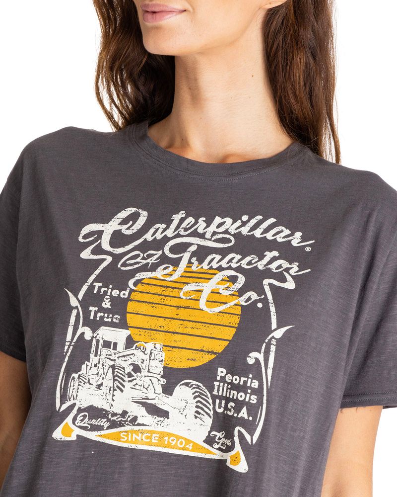 Polera Manga Corta Mujer Harvest Moon Oversize Graphic-Cat Chile - Cat ...