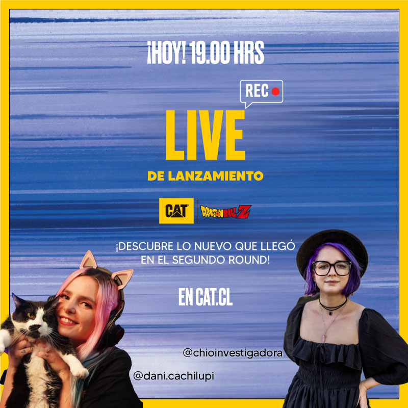 Cat | Tienda oficial Cat Chile